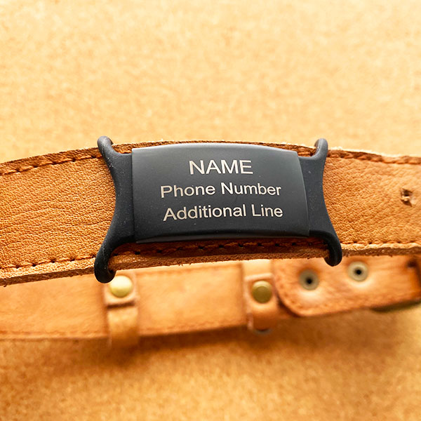 Update 96 About Dog Id Tags Australia Cool NEC Update 96 About Dog Id Tags Australia Cool NEC